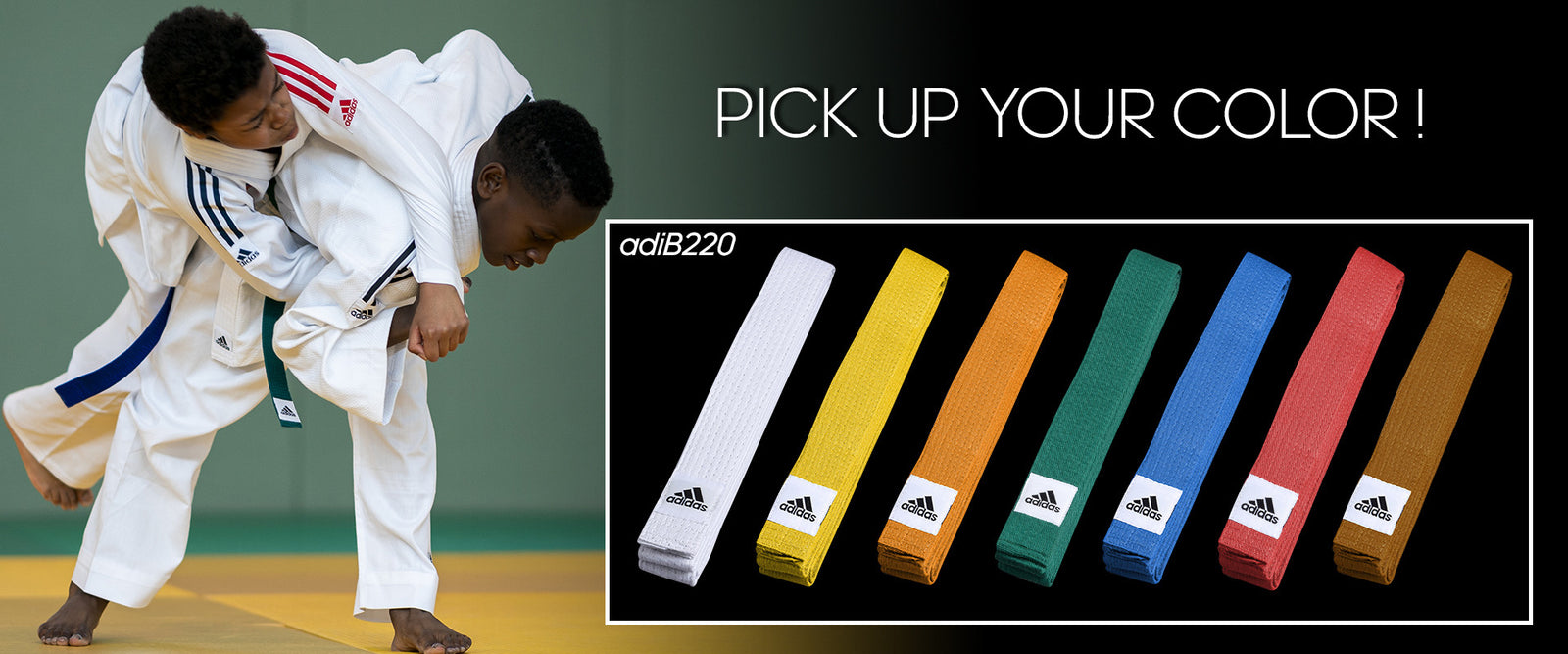 Judo Gear USA the Official Home of Adidas Judo Everything!